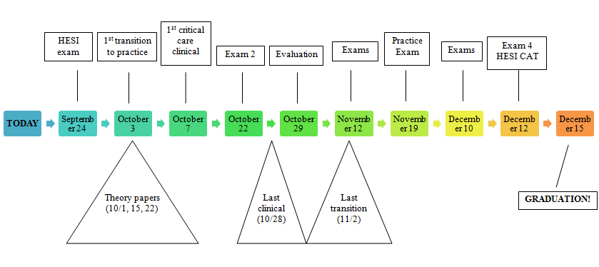 Nursing Student s Individual Success Plan Domyassignments123