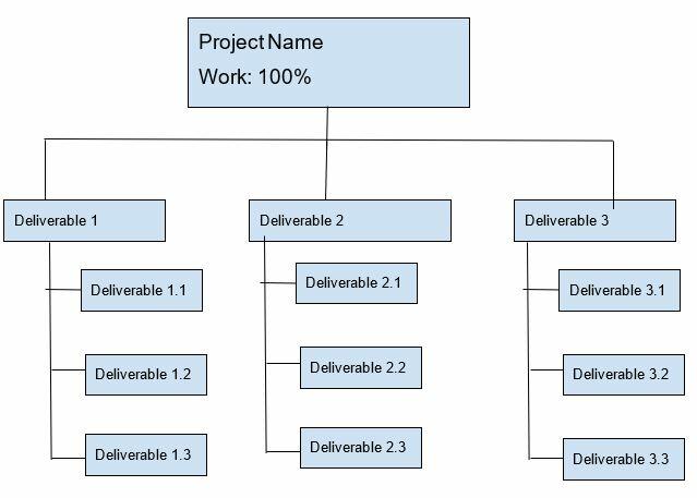 Census Project Strategy Leadership And Governance Coursework Free 