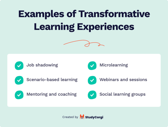 What Is Transformative Learning Definition Importance And Steps To